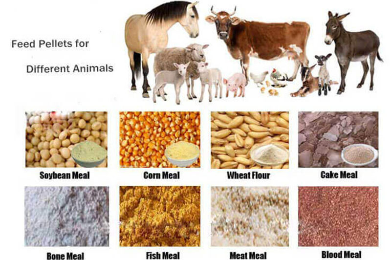 How To Select Feed Ingredients Feed Pellet Mill On Sale How To Select Feed Ingredients Feed Pellet Mill On Sale