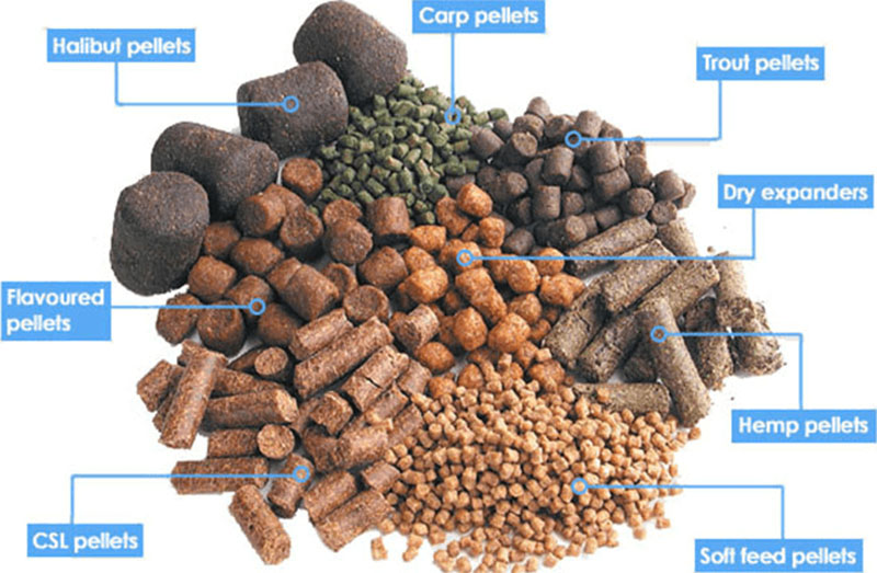 Fish Feed Machine Floating Fish Feed Pellet Machine For Sale